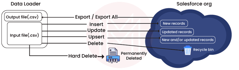 Salesforce Data Loader Tutorial | A Definitive Guide To Learn