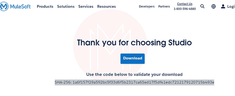 How to Install Anypoint Studio on Windows - A Ultimate Guide