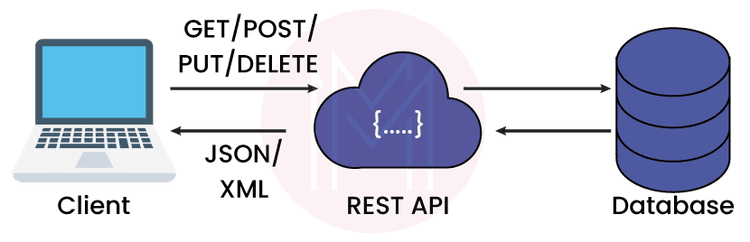 Top 30 ASP .NET Web API Interview Questions and Answers 2025