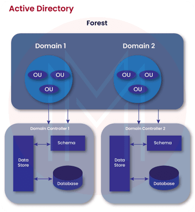 What is FSMO Roles | 5 FSMO Roles in Active Directory