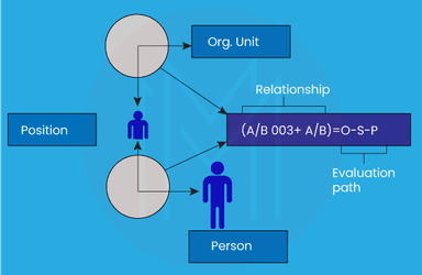 Top 30 SAP HCM Interview Questions and Answers 2025