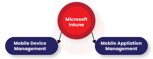 What is Microsoft Intune? A Complete Guide For Beginners