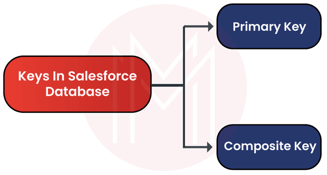 What is Salesforce Database? Architecture of Salesforce Database