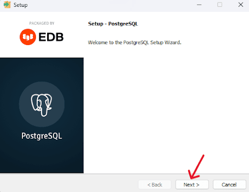 How to Download and Install PostgreSQL on Windows?