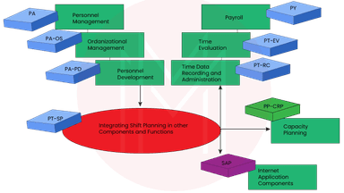 Top 30 SAP HCM Interview Questions and Answers 2025