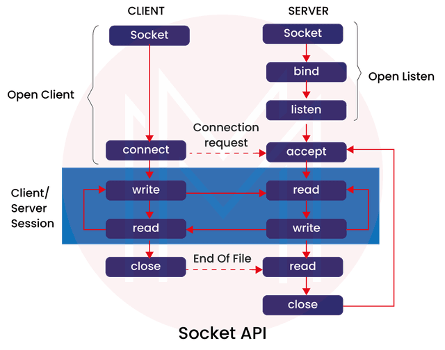 Socket Programming in Java | Socket Class