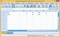 What is IBM SPSS | SPSS Tutorial For Beginners 2025