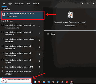 How to Install IIS | A Step by Step Guide