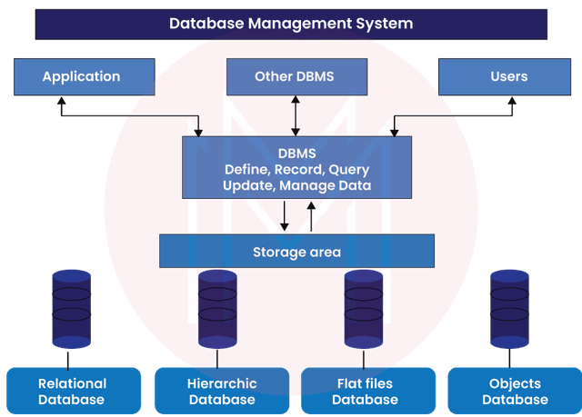 Top DBMS Project Ideas For Beginners To Advanced in 2025