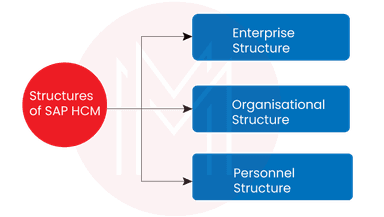 Top 30 SAP HCM Interview Questions and Answers 2025