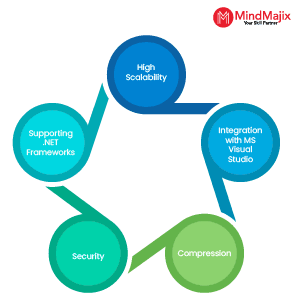 What is IIS | How it Works