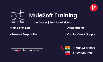 MuleSoft Training and Certification | Online and Self-Paced