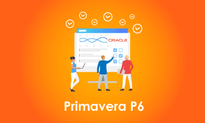 Primavera P6 Training & Certification - Online & Self-Paced