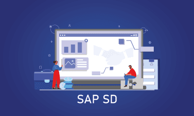 No.1 SAP SD Course & Sales and Distribution Certification Course