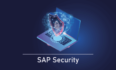 SAP Security Course & SAP Security Certification Training